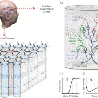 A Schematic Diagram Of A Neural Field Model A An Example Of A Column Download Scientific