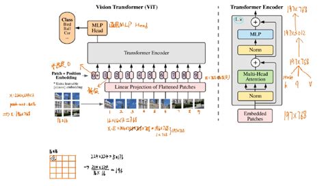 Vitvision Transformer论文速读 哔哩哔哩