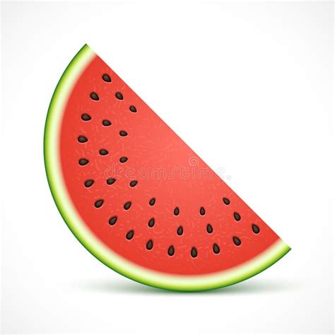 Watermelon Half Slice Vector Illustration Isolated On White