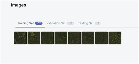 Images Count Dataset Is Negative Feedback Roboflow