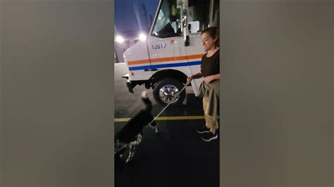 Gyster Nat Fuel 3 Youtube