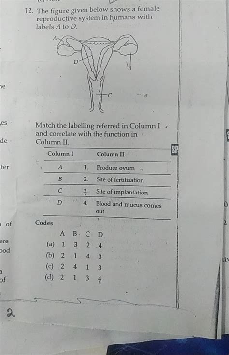 The Figure Given Below Shows A Female Reproductive System In Humans With
