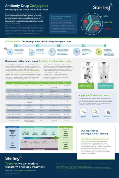 Harnessing Magic Bullets To Outsmart Cancer Antibody Drug Conjugates