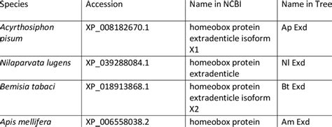 Orthologs Used In Phylogenetic Analysis And Multiple Sequence
