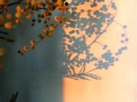 Ideas De Bomnito Fotograf A De Espejo Aplicaciones Para Educaci N Metodos De Estudio