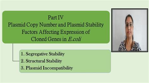 Plasmid Stability And Plasmid Copy Number Structural And Segregative