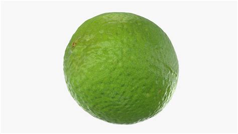 Lime 3d Model Turbosquid 2420501