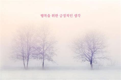 행복을 위한 긍정적인 생각 긍정적인 생각 생각 명언