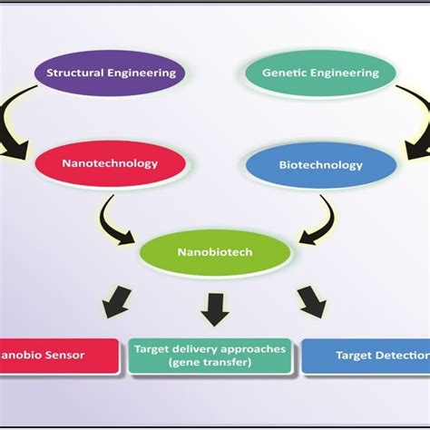 Diagram Showing The Involvement Of Nanotechnology Along With