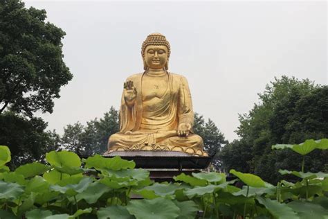 去庙里烧香的最佳时间是几点武汉同展贸易这些知识需要知道 知乎