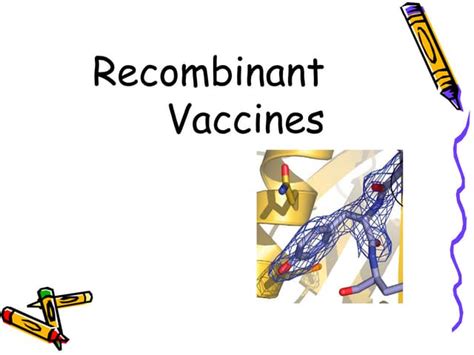 Recombinantvaccine Type Immunology And Vaccinology Ppt Recombinantvaccine Type Immunology And Vaccinology Ppt