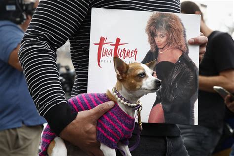 When Tina Turner Rocked Dubai Fan And Journalist Recalls Meeting The