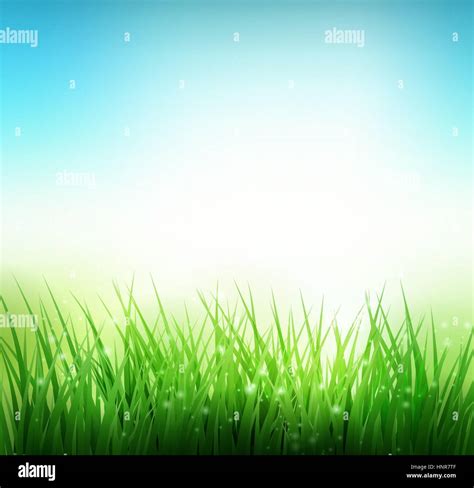 Natural Green Grass Background Vector Illustration Eps 10 Stock Vector Image And Art Alamy