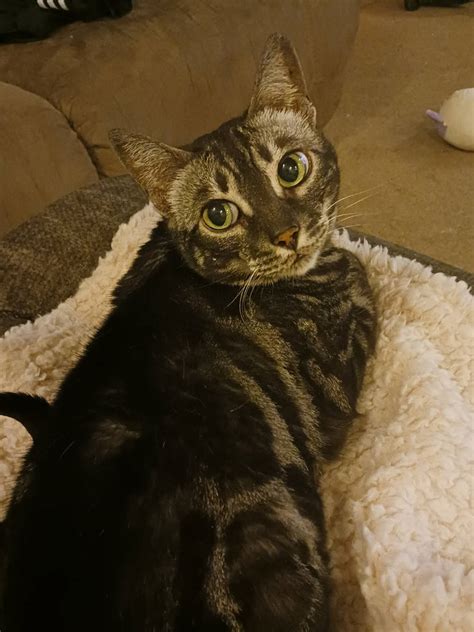 What By Utena Douji On Deviantart