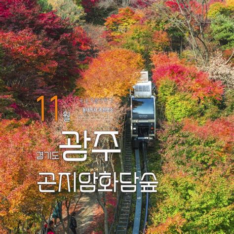 11월 2일 경기도 가을 단풍 명소 광주 곤지암 화담숲 단풍 절정 네이버 블로그