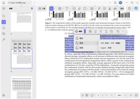 使用updf Ai翻譯pdf文檔 Official Updf