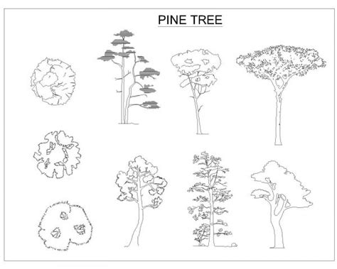 Pine Tree Model Thousands Of Free Autocad Drawings