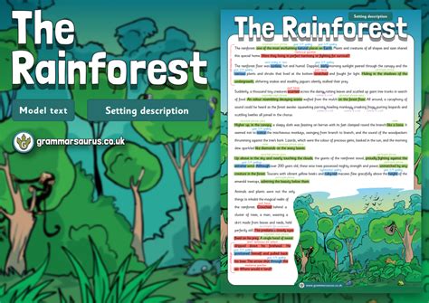 Year 3 Model Text Setting Description The Rainforest Grammarsaurus