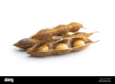 Dried Soybeans Walmart At Sharlene Burcham Blog