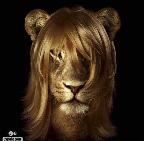 Spazio Vera Mascarenhas Força Da Leoa E Cabelo De Princesa