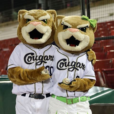 Ozzie And Annie Cougar Kane County Cougars American Association Of
