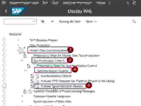 How To Activate Synchronization Options In Sap
