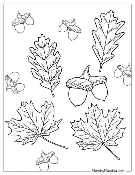 Printable Autumn Leaves Coloring Pages