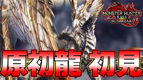 最終決戦！原初を刻むメル・ゼナ 太刀 ソロ 初見【モンハンライズ】『モンスターハンターライズ：サンブレイク』 Youtube