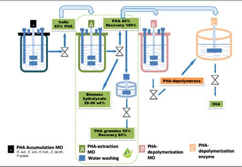 Figure 1 From Biobased Extraction And Depolymerization Technology For Pha Pha Monomers And