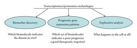 The Three Main Fields For The Application Of Transcriptomics And Download Scientific Diagram