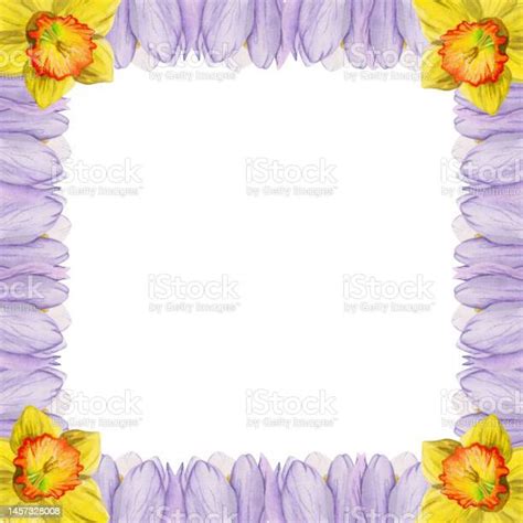수채화 손으로 그린 사각형 프레임에는 봄 꽃 크로커스 헌병 수선화 나뭇잎이 있습니다 흰색 배경에 격리 초대장 결혼식 인사말 카드 벽지 인쇄 섬유를위한 디자인 0명에 대한
