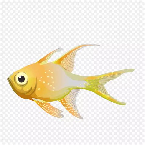 Png Png