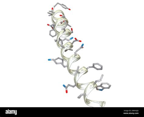 Antidiabetic Drug Tirzepatide Molecular Structure Illustration Stock