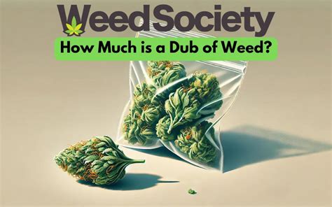 White Ash VS Black Ash Exploring The Difference WeedSociety