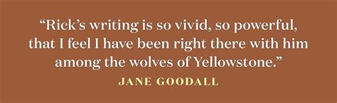 The Alpha Female Wolf The Fierce Legacy Of Yellowstones 06 The Alpha