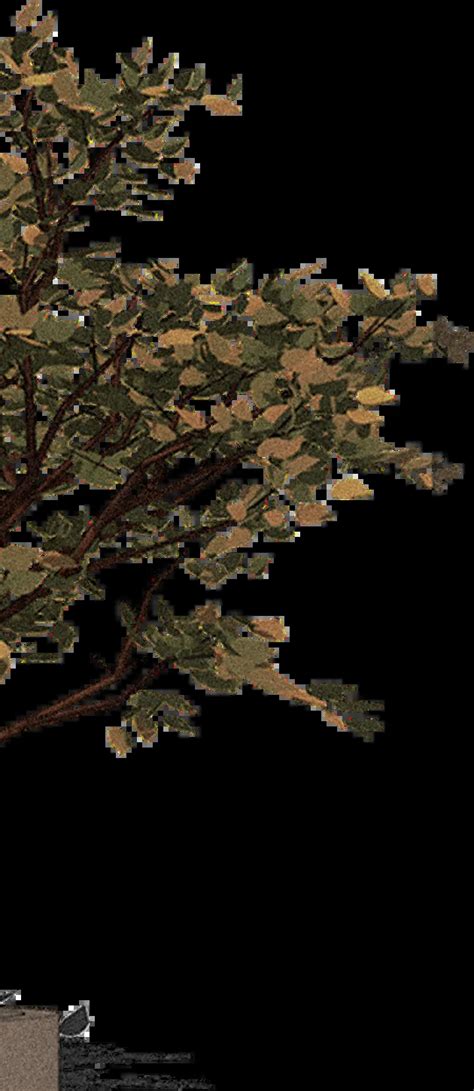 Injective Community Join Developers Traders And Web3 Builders