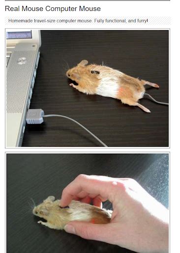 Thanks I Hate This Homemade Real Mouse Computer Mouse R Thanksihateit