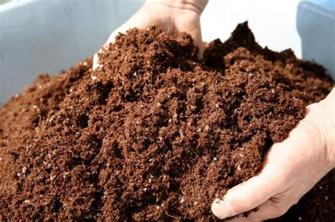 Garden Soil Amendments For Healthy Plant Growth Improve Soil Quality