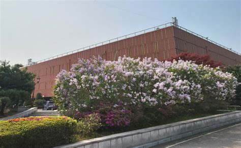 평생교육 트라이버시티