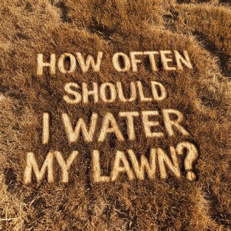 How Often Should I Water My Lawn Lawnpro Australia