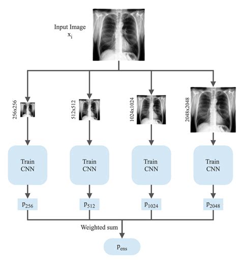 Workflow For The Stacked Ensemble Model For A Single Input Image Download Scientific Diagram