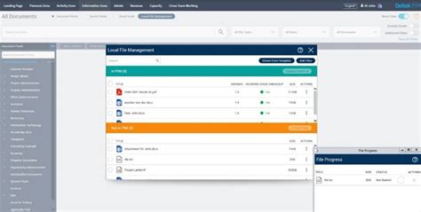 Local File Management Deltek