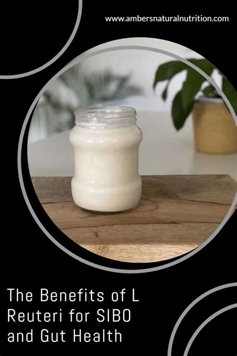 The Benefits Of L Reuteri For Sibo And Gut Health Artofit