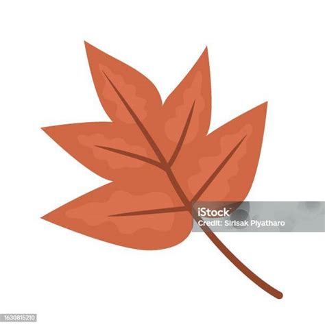 Feuilles Dautomne Clipart De Dessin Animé Silhouette Dicône De Feuille