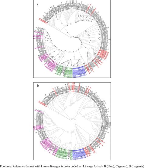 Genetic Variability In Minor Capsid Protein L2 Gene Of Human