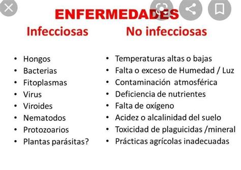 Diccionario Y Tipos De Enfermedades Infecciosas My Xxx Hot Girl