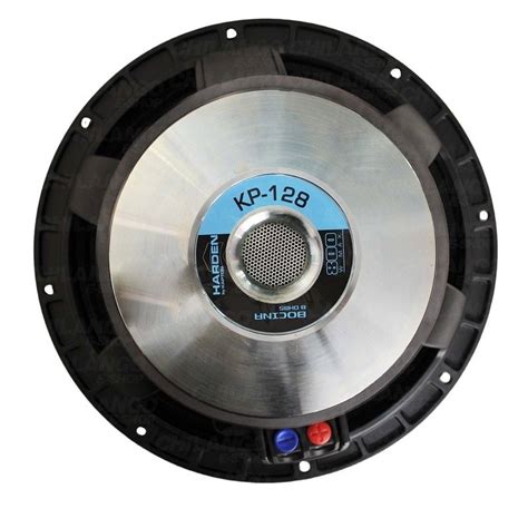 Subwoofer 12 Pulgadas 500w Rms