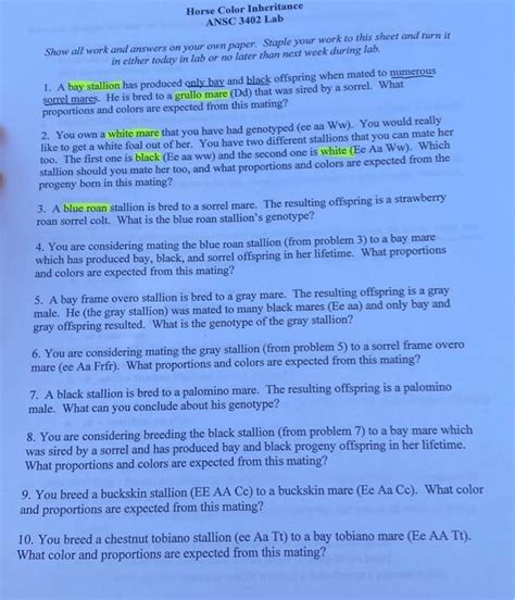 Solved Show All Work And Answers On Your Own Paper Staple