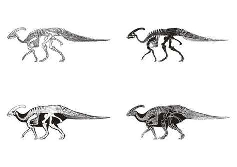 รูปภาพornithopod เลือกดูภาพถ่ายสต็อก เวกเตอร์ และวิดีโอ744 Adobe Stock