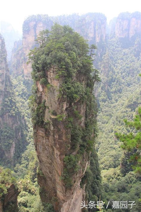 美麗的張家界乾坤柱景區 每日頭條